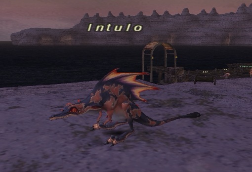 ハイキック画像を・・・・どうですか？: バカぬぬ